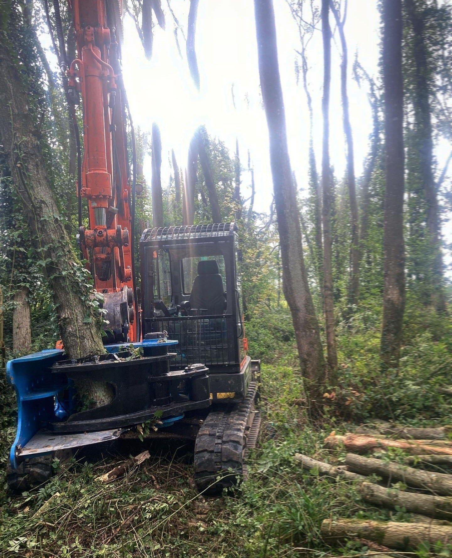 Alpha 320 Excavator Tree Shear - 11,000-33,000 lbs – JB Equipment